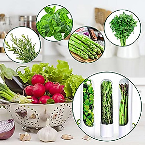 plplaaoo Herb saver pod, Herb Storage Container clear windowed,good watertight integrity,Fits in all standard refrigerator doors for Cilantro Mint Parsley Asparagus
