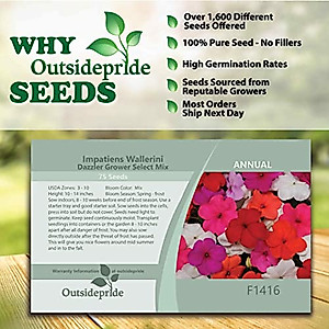 Outsidepride Impatiens Grower Select Garden Flower Plants for Pots, Hanging Baskets, Containers, Window Boxes - 75 Seeds