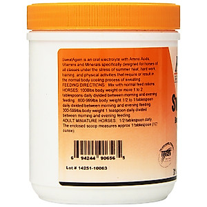 AniMed SWEATAGAIN Electrolyte 1#