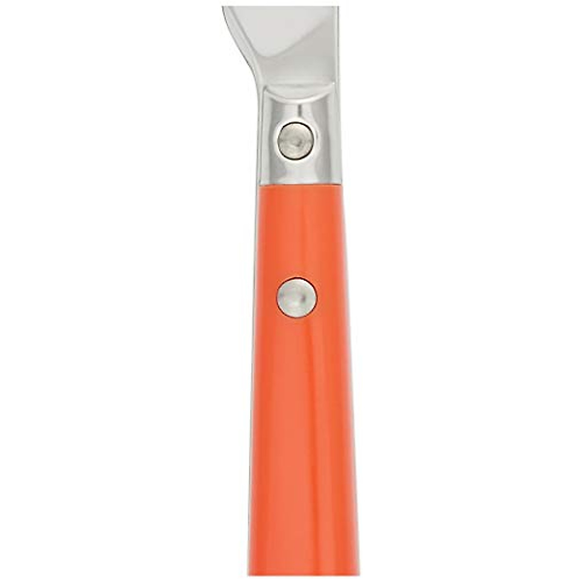 Ginkgo International Le Prix 20-Piece Stainless Steel Flatware place Setting, Persimmon, Service for 4