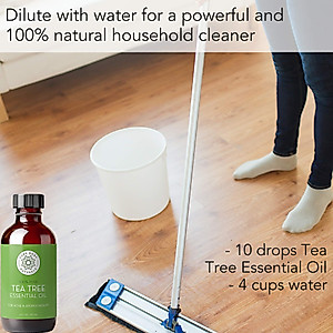 Pure Body Naturals Tea Tree Essential Oil, 4 Fl Oz with Dropper - Undiluted Therapeutic Grade for Your Face, Skin, Hair and Diffuser - 100% Pure Melaleuca Oil for Acne, Toenails