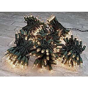 DecoBrite Incandescent 69ft (21m) 300 ct Christmas String Lights Clear with Green Wire, Indoor Outdoor Christmas Lights Decorations for Tree, Patio, Garden（300 Clear Bulbs with Green Wire