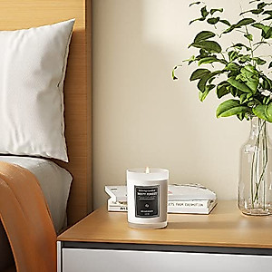 NEVAEHEART Candles for Home Scented, 3.5OZ x 3 Packs Scented Candle Set, Misty Forest | Glimmer Forest | Ebony Bergamot, Candle Gift Set for Women, Natural Soy Wax, Home Fragrance with Gift Box