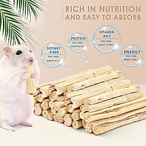 Bissap 700g/1.5Ib Sweet Bamboo Chew Sticks for Rabbits, Bunny Chew Sticks for Rabbits Hamster Chinchilla Guinea Pigs Rabbit Small Animals Natural Treats Teeth Grinding Chew Toys
