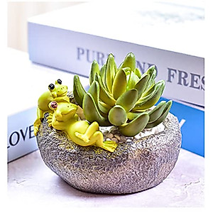 Novelty Cute Couple Frog Flowerpot with Drainer Garden Flowerpot Resin Succulent Potted Bonsai Plant Stand Home Desk Mini Ornaments Without Plants
