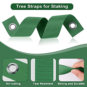 Jevrench 12 PCS Tree Straps for Staking, Tree Support Straps for Guying Staking Newly Planted Sapling Straight and Hurricane Protection, Heavy Duty Tree Stake Straps for Straightening
