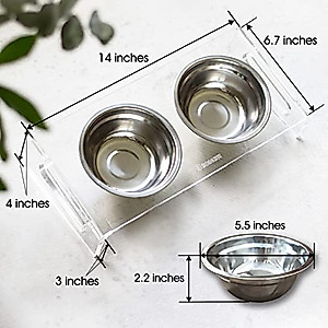 Tilted Raised Cat Bowls, Elevated 15° Orthopedic Bowls for Puppy or Small Dog, 4 Stainless Steel Pet Feeding Food Dishes Set, Durable Acrylic Stand, Easy to Clean, Also Perfect for Travel (Clear)
