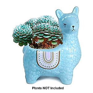 Dahlia Cute Llama Ceramic Succulent Planter/Plant Pot/Flower Pot/Bonsai Pot, Sky Blue