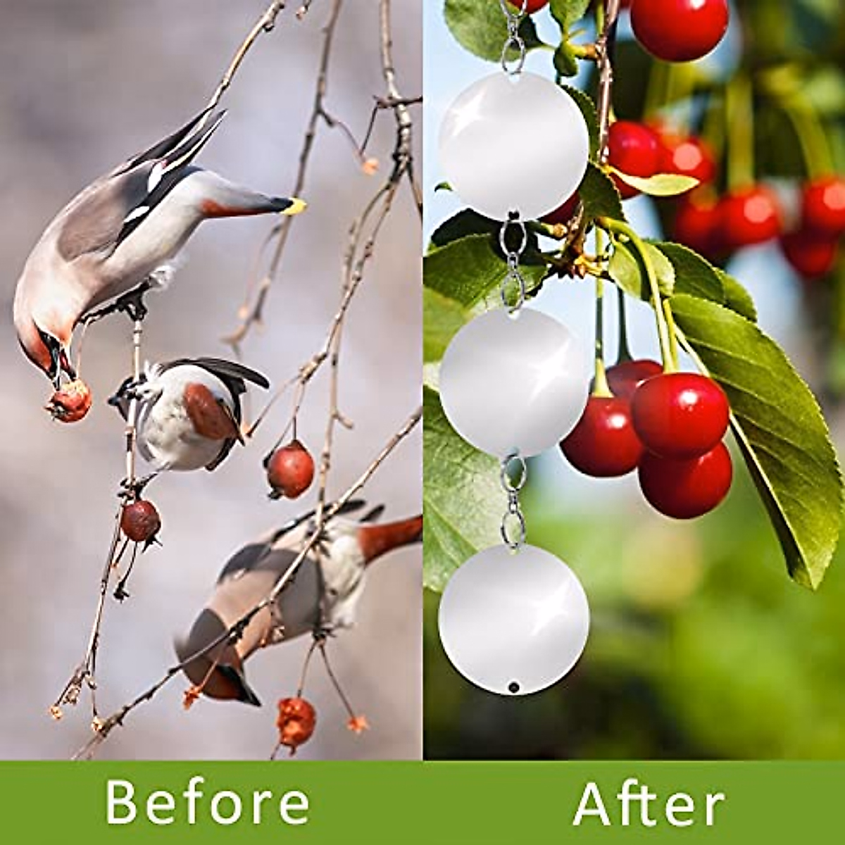 Mageloly 24 Pack Bird Deterrent, Pigeon Woodpecker Deterrent for House Bird Repellent Devices Outdoor, Bird Scare Disc Keep Birds Away