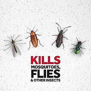 Raid Ant and Roach Killer 17.5 Ounce (Pack of 4)