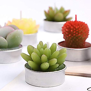 WANGMINGTU Succulent Cactus Tea Light Candles Unscented 6pcs Assorted for Birthday Party Favors Wedding Decor Gift Sets