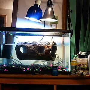 Simple Deluxe HIWKLTCLAMPLIGHTS Clamp Lamp Light with 5.5 Inch Aluminum Reflector up to 60 Watt E26 (no Bulb Included), 6 Feet Cord