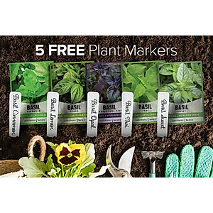 Basil Seeds for Planting Home Garden Herbs - 5 Variety Herb Pack Thai, Lemon, Cinnamon, Sweet and Dark Opal Basil Seeds Herb Seeds for Indoors, Outdoors, Hydroponics & Aquaponic by Gardeners Basics