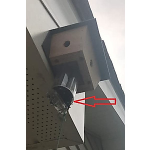 Bee-Licious Bee Bait All Natural Carpenter Bee Lure Attracts More Carpenter Bees to Your Carpenter Bee Traps