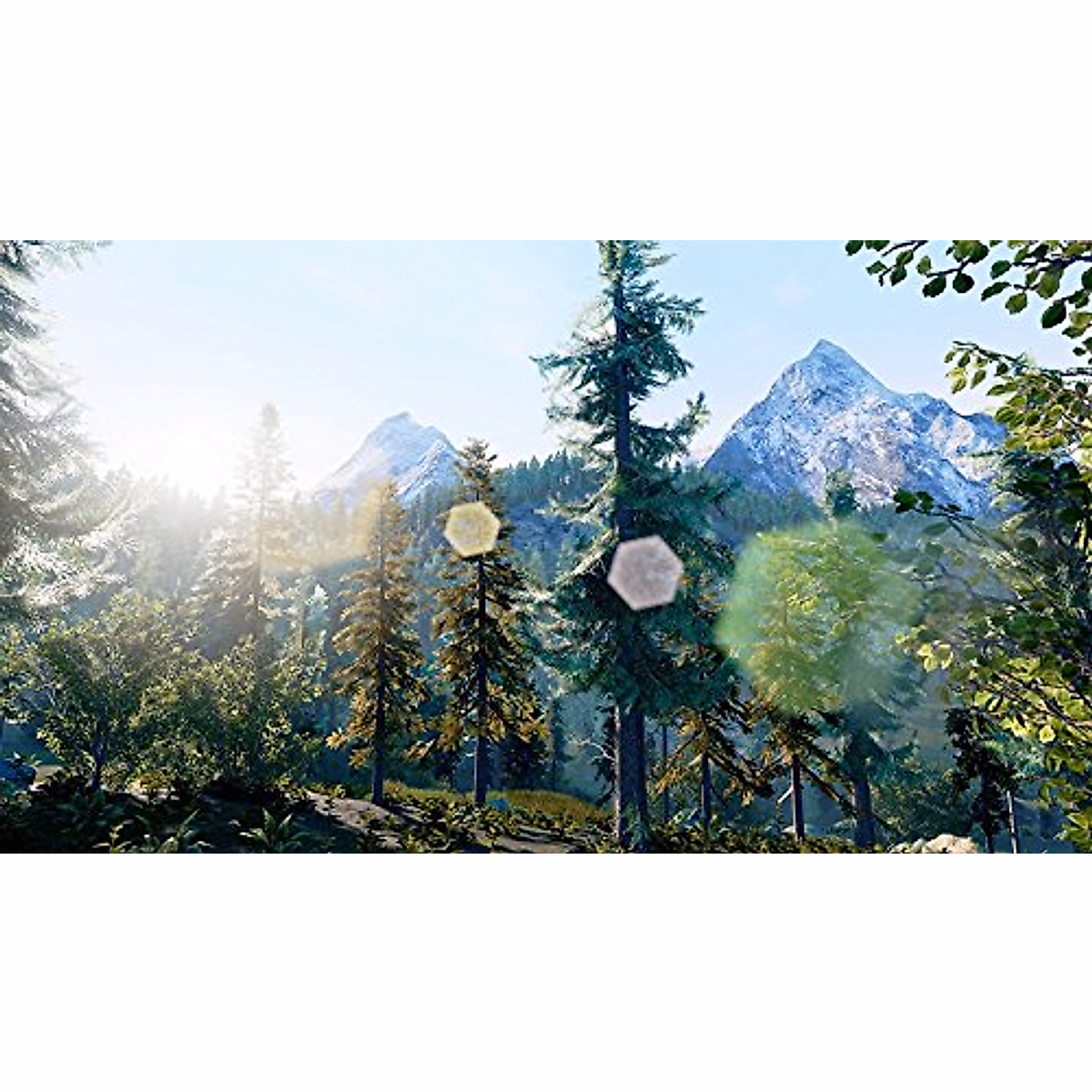 Hunting Simulator (Switch)