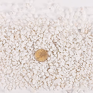 Mini White Rocks Stone Decorative Pebbles Vase Fillers Succulents Cactus Bonsai DIY Plant Rock Garden Outdoor Indoor Gravel for Aquarium, Fish Tank, Terrarium, Fairy Gardening, Top Dressing 5-lbs