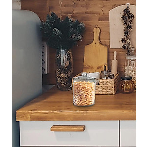 Set of 2 Glass Jar with Lid (2 Liter) | 1/2 Gallon Airtight Glass Storage Cookie Jar for Flour, Pasta, Candy, Dog Treats, Snacks & More | Glass Organization Canisters for Kitchen & Pantry | 68 Ounces (Set of 2)