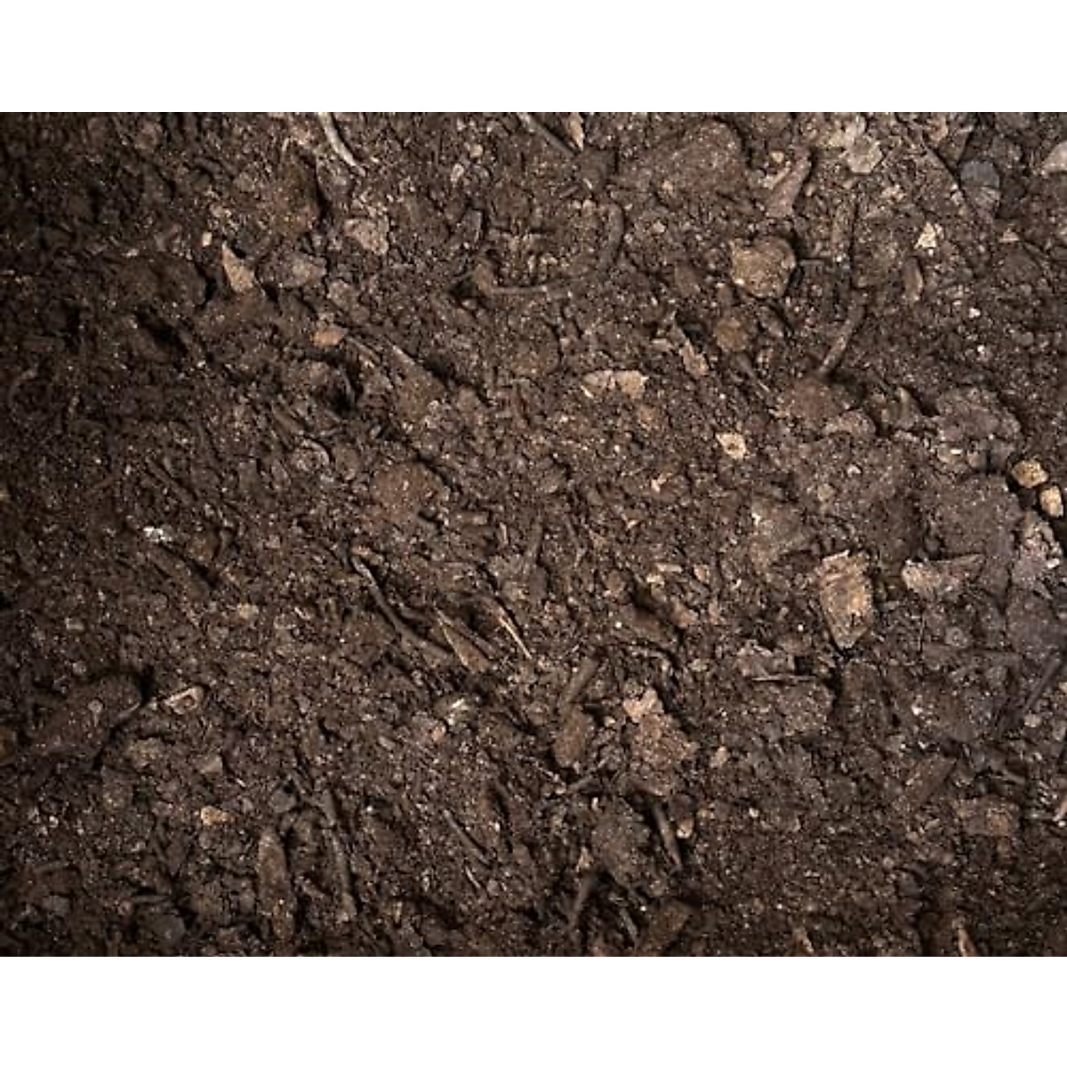 2.5 Quarts Natural Oak Leaf Mold for Acid Loving Plant, Cactus & Succulent, Bonsai Tree Soil Mix - Organic Additive