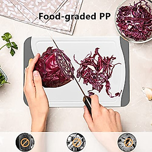 Cutting Boards for Kitchen, Plastic Chopping Board Set of 4 with Non-Slip Feet and Deep Drip Juice Groove, Easy Grip Handle, BPA Free, Non-porous, Dishwasher Safe - blue gray red