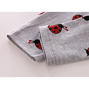 Eghunooy Baby Girls Clothes Set 2 Piece Long Sleeve Ladybug Pattern Infant Outfits (18-24 Months) Red