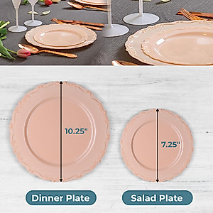 Posh Setting Posh Disposable Vintage Plastic Plates Set - Heavy Duty Vintage Dinnerware, 60 Pack with 30 Appetizer & 30 Dinner Plates for Wedding, Pink/Blush