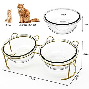 BNOSDM Elevated Cat Bowls, Glass Raised Pet Bowl, 12° Tilted Double Dishes Set for Food and Water, Transparent Kitty Feeding Station with Gold Iron Stand for Indoor and Outdoor Kitten