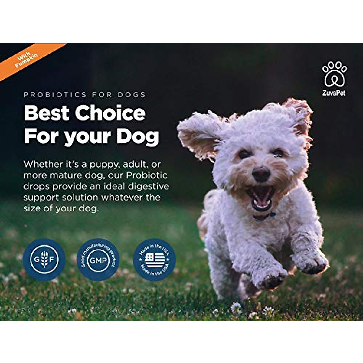 Probiotic for Dogs with Natural Digestive Enzymes. A Prebiotics + Digestive Enzyme Product for Dogs + Pumpkin. 120 Servings. Diarrhea & Upset Stomach Relief + Gas, Constipation, and Allergy Relief.