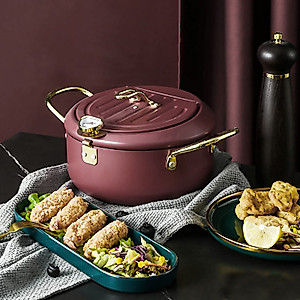 LEPO Deep Fryer Pot, 2.2L Small Japanese Tempura Deep Fryer Pot, With Thermometer,Lid And Oil Drip Drainer Rack,304 Stainless Steel Fryer Pot, for Kitchen French Fries, Fish and Shrimp