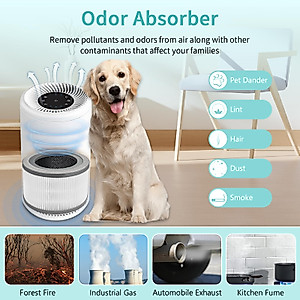 Vista 200 Replacement Filter Compatible for LEVOIT Air Models, 3-in-1 Pre, H13 High-Efficiency Activated Carbon Filtration System, Replace Part# Vista 200-RF, Pack of 2 By Improvedhand