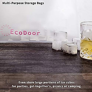 Ecodoor Reusable 2 Gallon Capacity Food Storage & Freezer Bags (4 Bags)