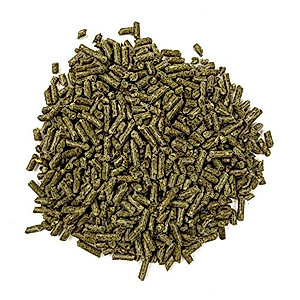 Oxbow Essentials Adult Guinea Pig Food - All Natural Adult Guinea Pig Pellets - 10 lb.