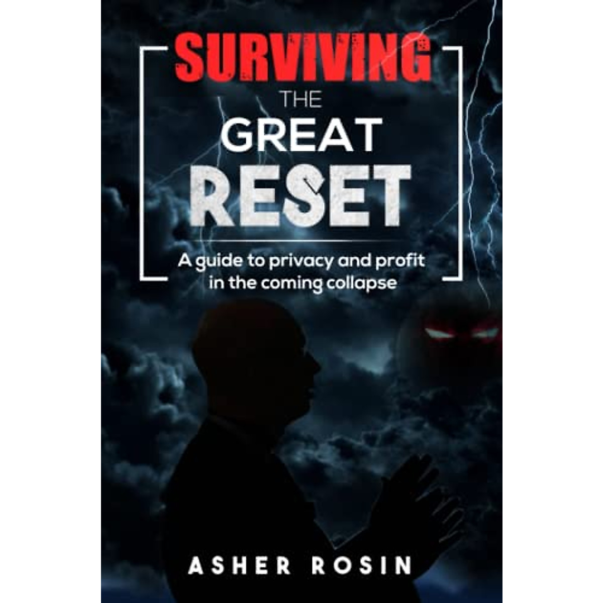 Surviving The Great Reset: A Guide To Privacy And Profit In The Coming Collapse