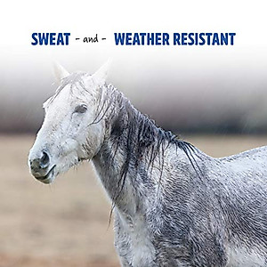 Manna Pro Opti-Force Fly Spray | Sweat Resistant for Horses and Ponies | Provides Repellency and Quick Knockdown from Biting and Nuisance Flies | 1 Gallon