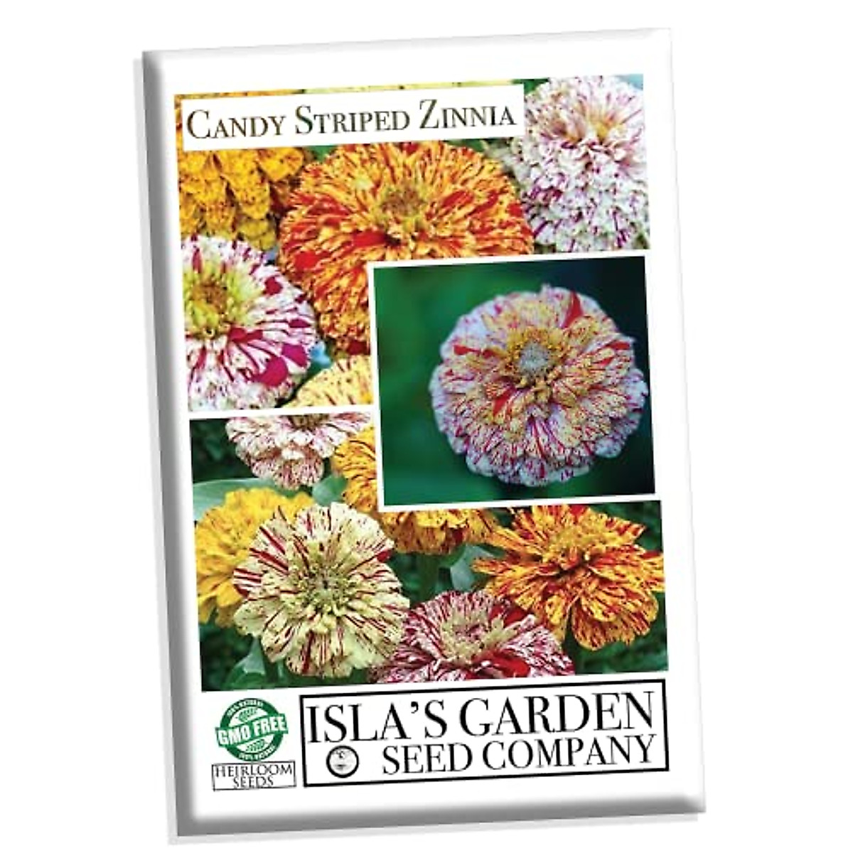 "Candy Stripe Mix" Zinnia Seeds for Planting, 50+ Flower Seeds Per Packet, (Isla's Garden Seeds), Non GMO & Heirloom Seeds, Botanical Name: Zinnia elegans, Great Home Garden Gift