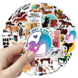 100pcs Horse Stickers, Cute Horse Riding Water Bottle Bulk Stickers for Kids, Vinyl Fall Stickers for Laptop, Horse Gifts for Girls Women Kids (Horse Stickers)