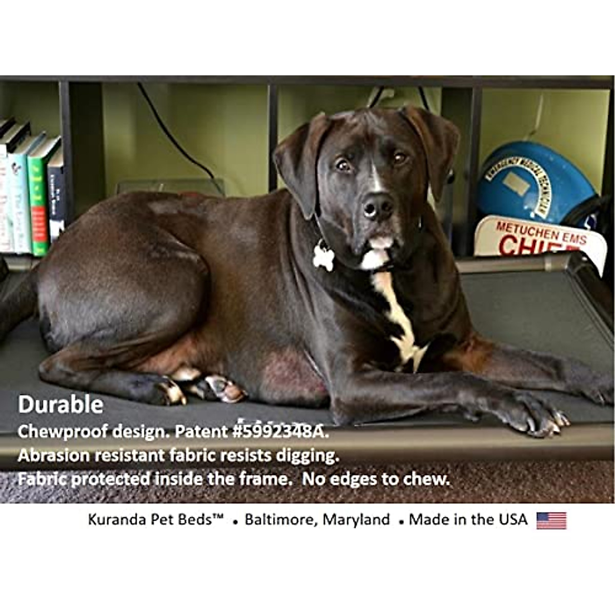 Kuranda Elevated Indoor Bed - Walnut PVC - X-Large - 44" x 27" - Cordura - Burgundy