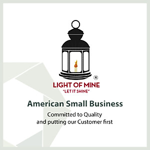 Light of Mine - Replacement Leather Washers for Coleman Lanterns - 5 Pack