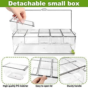 Ice Chilled Condiment Server Caddy, Bar Fruit Caddy with Lid and 5 Removable Compartments, Plastic Storage Food Container Clear Ice Condiment Serving Tray for Party, Toppings Bar Container