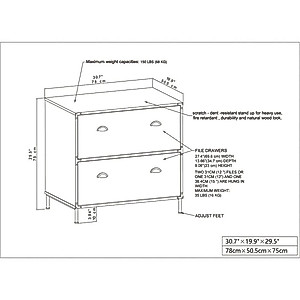 Saint Birch Bombay 2-Drawer Modern Wood Lateral File Cabinet, Legal & Letter Size, Walnut Brown
