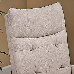 Christopher Knight Home Ishtar Glider Swivel Push Back Nursery Recliner, Beige, Black