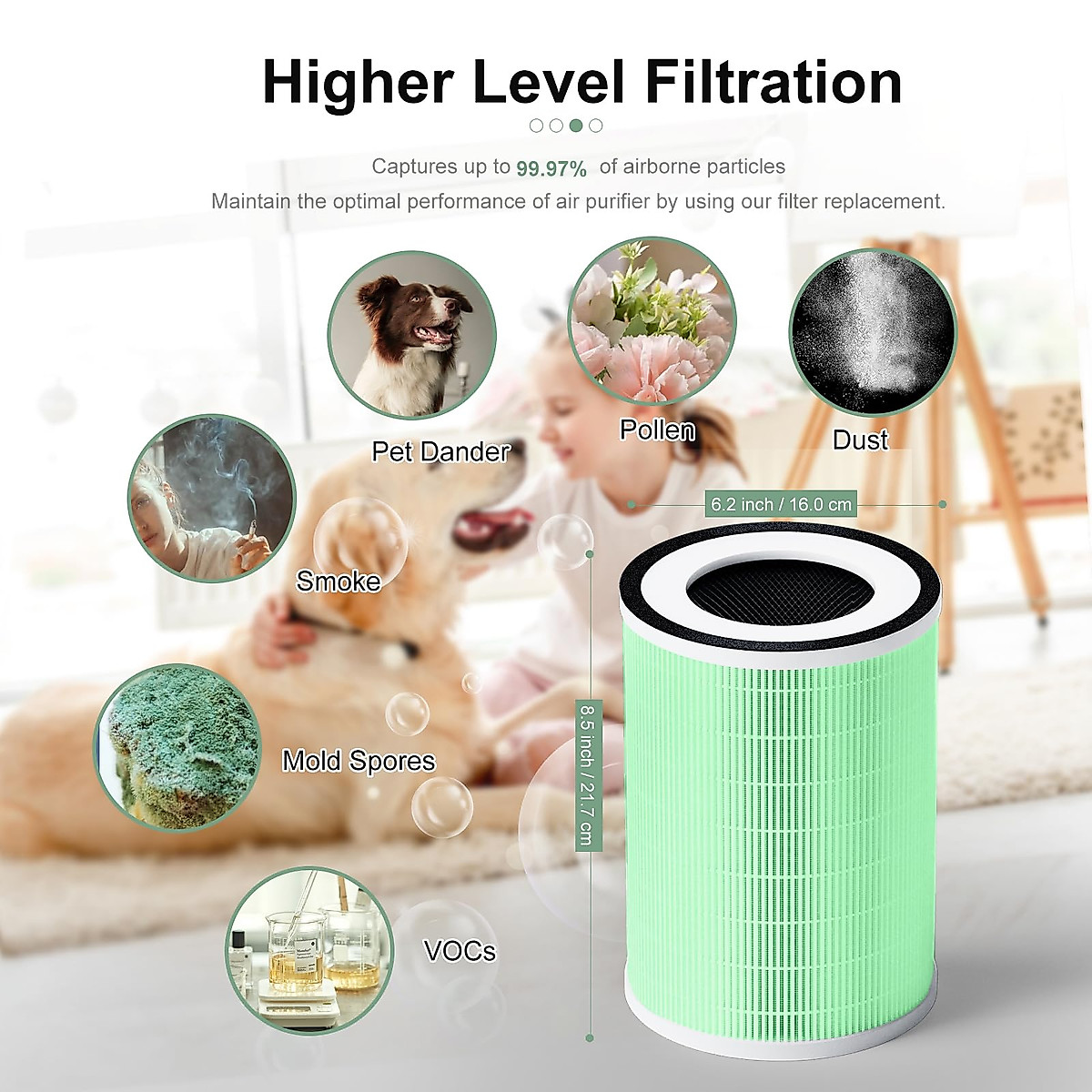 Luripid Kilo Air Purifier Filter Replacement, Compatible with Afloia KILO, KILOPLUS, KILOPRO, MIRO,MIRO PRO and MORENTO MR-Kilo, Kalo Air Purifier, 2 Pack (Green-pet Care Filter)