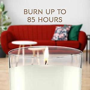 Glade Candle Jar, Large Candle Infused with Essential Oils, Air Freshener for Home Decor, Autumn Apple Tree, 16oz