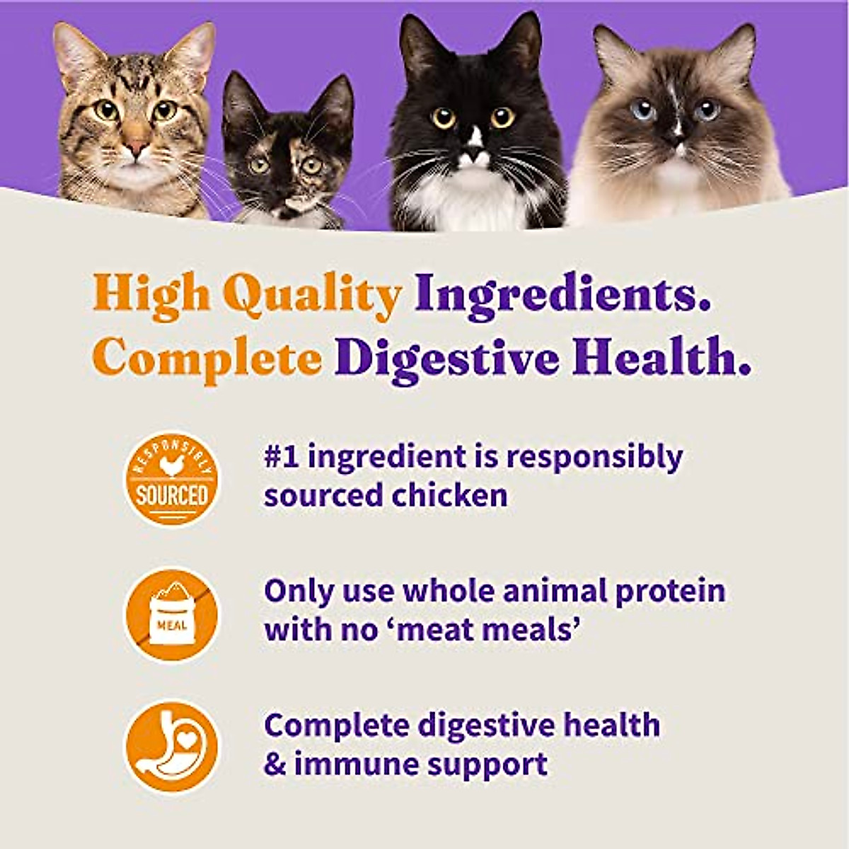 Halo Holistic Cat Food Dry, Cage-free Chicken Recipe, Complete Digestive Health, Dry Cat Food Bag, Adult Formula, 6-lb Bag