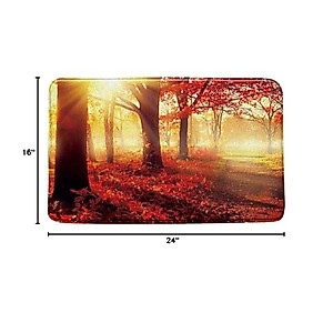 AMFD Fall Forest Bath Mat Autumn National Park Sunshine Misty Forest Tree Red Yellow Seasonal Picture Print Bathroom Shower Mat Kitchen Rug Soft Microfiber Memory Foam 16x24 Inches