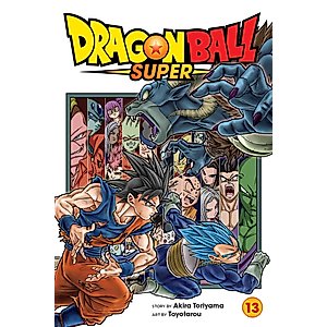Dragon Ball Super, Vol. 13 (13)