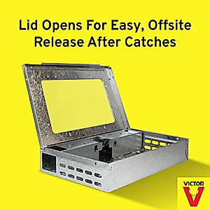 Victor M308 TIN CAT Clear Top Mouse Rat Trap, Pack of 12, Silver