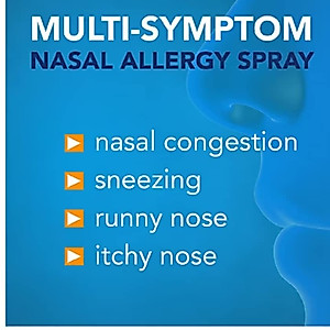 Walgreens 24 Hour Allergy Nasal Spray, Twin Pack, 2X120 Sprays