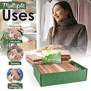 ecoKiwi Cedar Blocks for Clothes Storage - 20 Pack Cedar Hangers - Natural Cedar Wood for Closet Planks - Pet Safe Hanging Cedar Planks with Sandpaper - Scented Closet Freshener Protection & Control