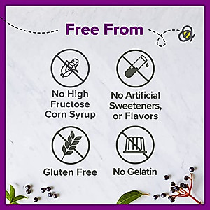 Zarbee's Gummy Daily Immune Support Supplement With Vitamins A, C, D, E & Zinc, Black Elderberry Fruit Extract, Natural Berry Flavor, 60 Count