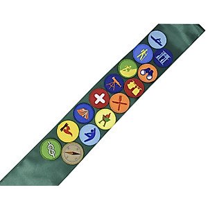 JFFCESTORE Embroidered Patch Come with Satin Sash Double Sided Sticky Fix Morale Patch Tactical Military Morale Patches Party Decorations Applique DIY Accessory (15pc Green)